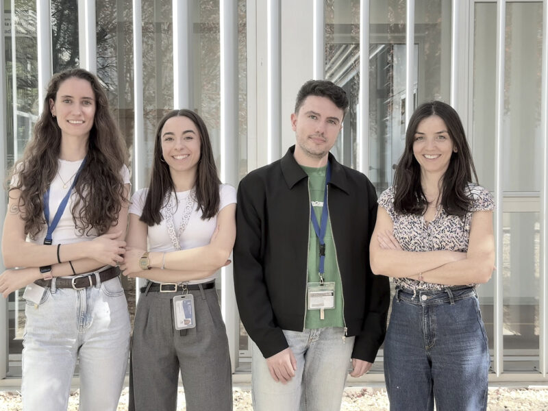 Din mica Conformacional Del Receptor GluA4 Bases Moleculares De Su din-mica-conformacional-del-receptor-glua4-bases-moleculares-de-su